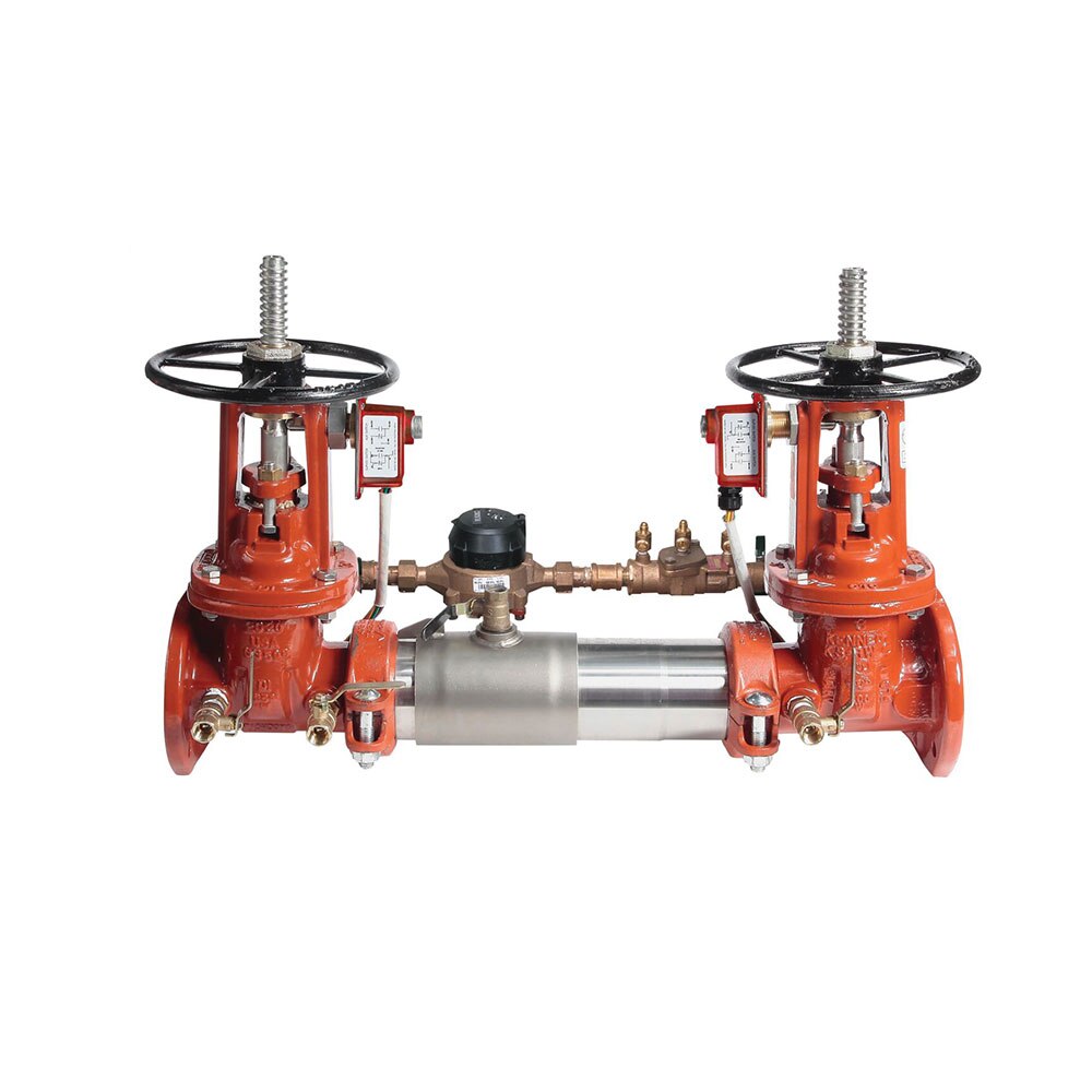 Ames C300-OSY-TS-G 6" SS Double Check Detector Assembly